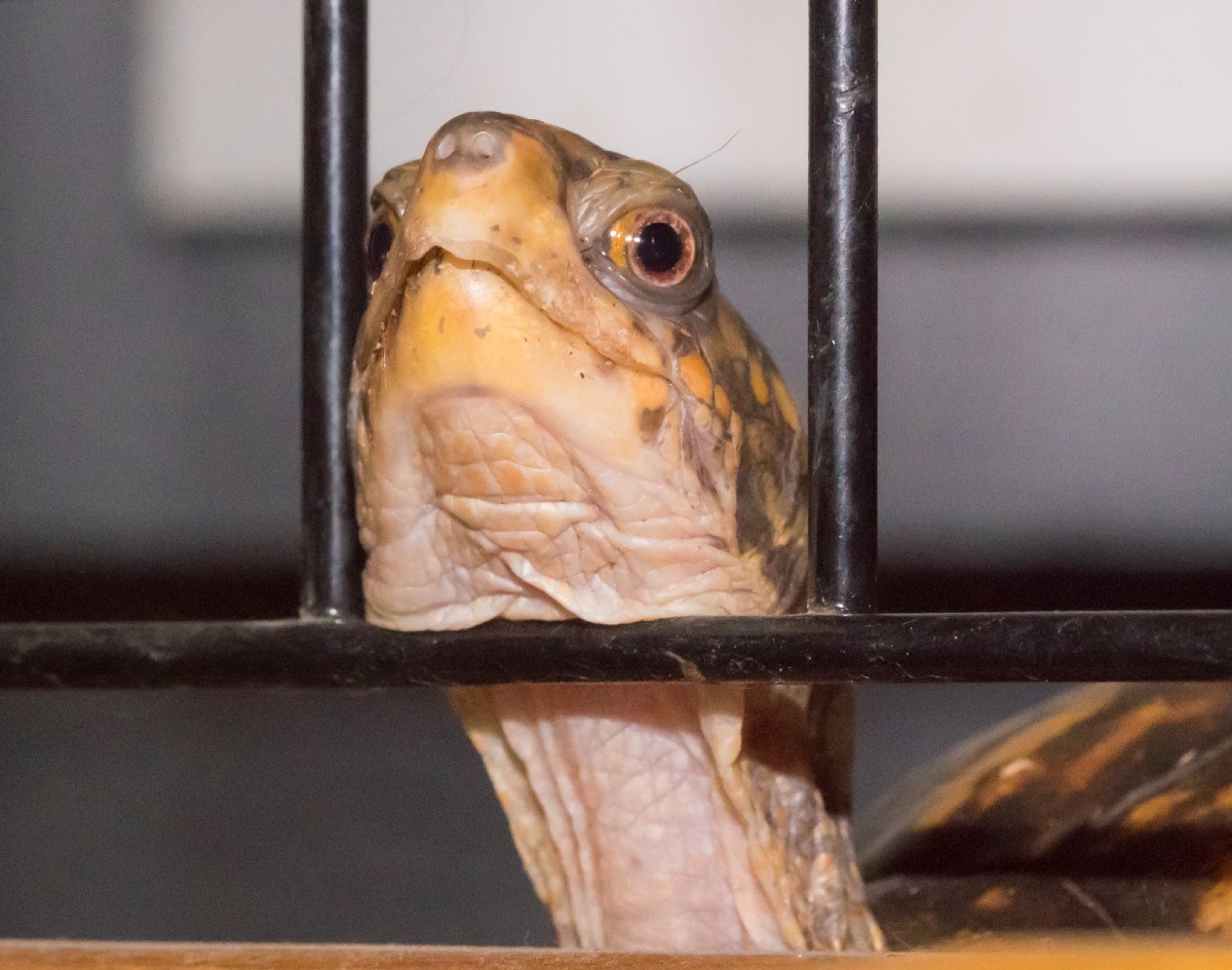 October 2018 – Bruce Photos