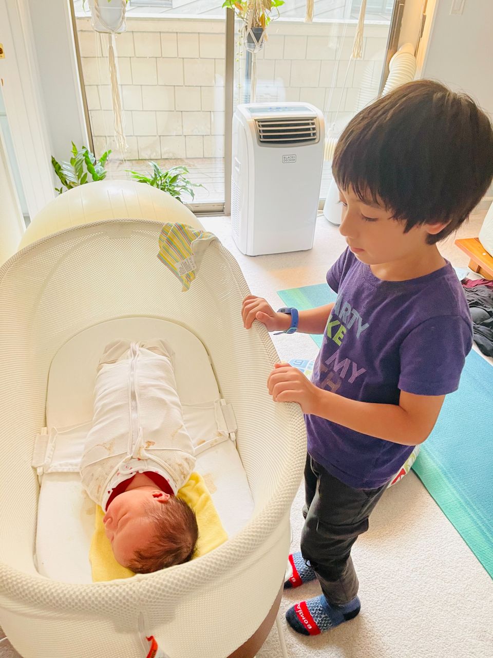 Meet Ruby! – Bruce Photos