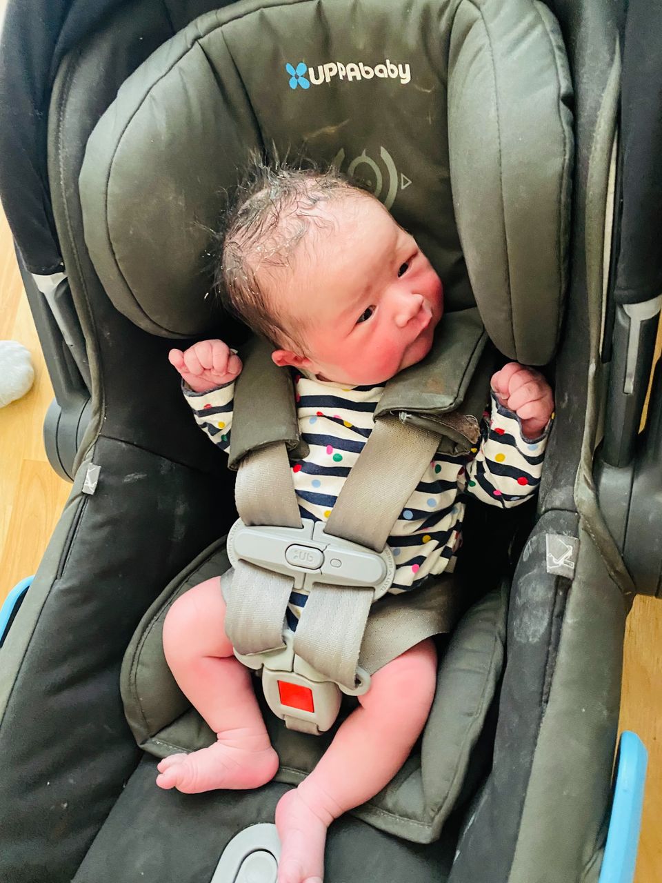 Meet Ruby! – Bruce Photos