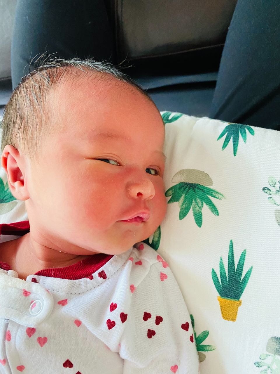 Frozen - Bruce Photos