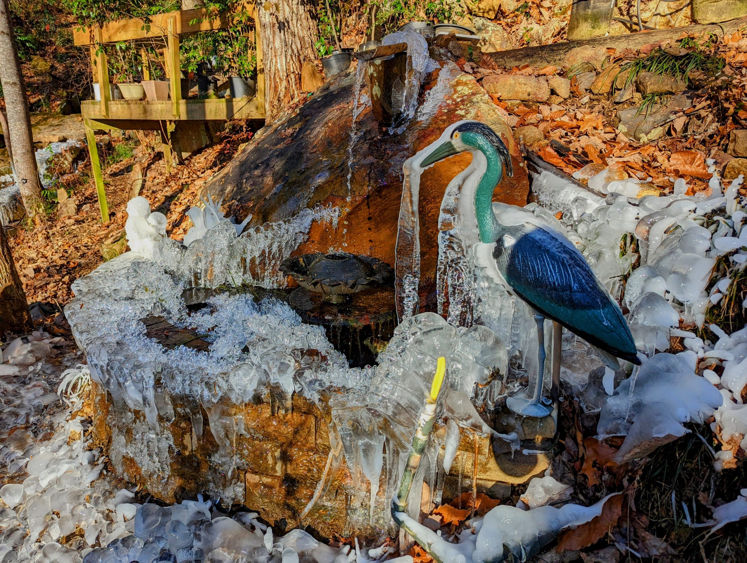 Fish Eaters – Bruce Photos